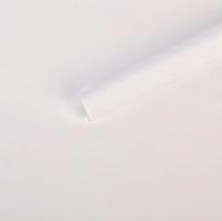 China Xiaoxiangfeng Pure Color Paper Waterproof Floral Flower Packaging Paper for sale