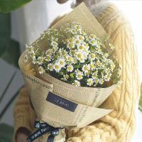 China Many Colors Vintage Kraft Paper for Book Wrapping Gift Wrapping Bouquet Packaging Flower Wrapping and English Newspapers for sale