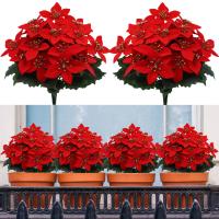China Cross border simulation of poinsettia Christmas decoration, wedding gifts, fake flower bouquets, DIY ornaments, simulated flowers for sale