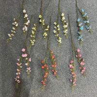 China Simulated Australian plum, artificial flower, finished product for wedding, flower arrangement, landscape flower, high-end feeling, living room, flower bouquet decoration for sale