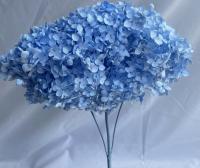 China Anna Hydrangea Preserved Flower Dried Flower Artificial Hydrangea Home Decoration DIY Craft Material Wholesale Single Hydrangea for sale