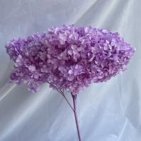 China Anna Hydrangea Preserved Flower Dried Flower Artificial Hydrangea Home Decoration DIY Craft Material Wholesale Single Hydrangea for sale