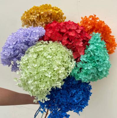 China Preserved flower Anna Hydrangea romantic Valentine's Day gift hand-made bouquet material for sale
