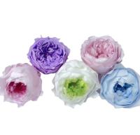 China Preserved flower Austin Rose romantic Valentine's Day gift hand-made bouquet material for sale