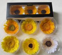 China Preserved flower Sun Flower romantic Valentine's Day gift hand-made bouquet material for sale