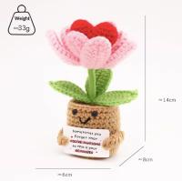 China Finished Hand-knitted Wool Crochet Dolls Small Dinosaur & Gorilla Wedding Toss Ornaments 31-50cm 14+ Years for sale