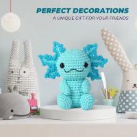 China Eco Friendly Soft Yarn Crochet Doll Set Creative Handicraft Gift for Children Essential Sewing Weaving Toys for Beginners for sale