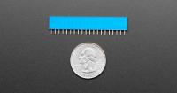 China Colored plastic 20 pin 01 pitch female headers pack Adafruit Industries 4160 five pack mixed colors for sale