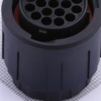 China 19 Position Socket Contact Plug End Cap Size 16 with Silicone Seals Amphenol RTS6BS16N19SHEC03 Component for sale