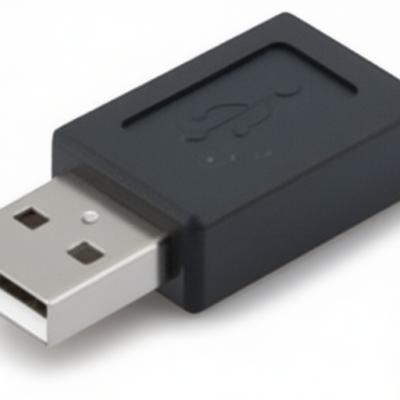 China L com CAU2AMICBAD MF USB 2 0 Adapter Cable Featuring Durable Black PVC Jacket and Gold Flash Pin Contacts for sale