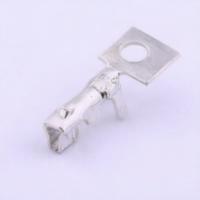 China 2.00mm Pitch Crimp Terminal Joint Tech Elec A2100-TPE Designed for Electronic Component Integration for sale