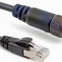 China High speed Cat 6a shielded cable assembly featuring RJ45 and Mighty Mouse connectors L-com TRG677-MMC-10F with PVC jacket for sale