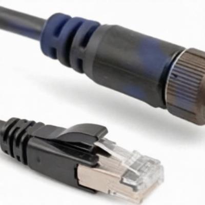 China High speed Cat 6a shielded cable assembly featuring RJ45 and Mighty Mouse connectors L-com TRG677-MMC-10F with PVC jacket for sale