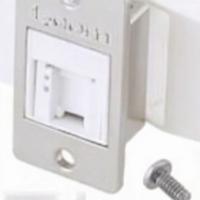 China Flanged Mounted Keystone Adapter Cat 5E Unshielded PoE Plus L-com ECFRJTLC5E-POE for Network Connections for sale