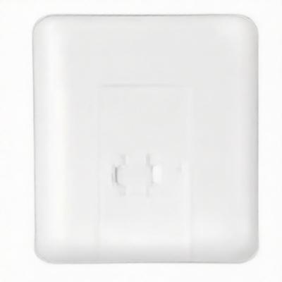 China Single RJ45 Wall Plate Projection Made of Durable White ABS High Impact Thermoplastic L-com MWP401K-WT for sale