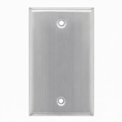China Wall Plate Blank 1G Modular Projection Stainless Steel L-com WPD100 Designed for Easy Installation for sale