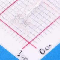 China Durable Megastar ZX-PHB2.0-2-DZ Male Terminal Rated 250V DC AC Suitable for AWG 24 to 28 Wire Gauges for sale