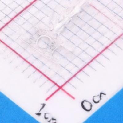 China Durable Megastar ZX-PHB2.0-2-DZ Male Terminal Rated 250V DC AC Suitable for AWG 24 to 28 Wire Gauges for sale