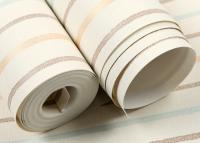 China Promotional Modern Removable Wallpaper / Contemporary Living Room Wallpaper for sale