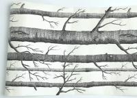 China Vantage Birch Tree Contemporary Wall Coverings / Wallpaper for Living Room  0.53*10M for sale
