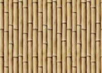 China Nature Bamboo 3d Home Wallpaper , Living Room 3d Effect Wallpaper For Walls for sale