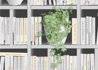 China Green Plants And Books Printing 3D Home Wallpaper  Modern Concise Style For Coffee Shop for sale