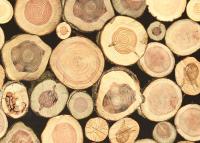 China Soundproof Wood 3D Room Wallpaper , 3D Vinyl Wallpaper For TV Background for sale