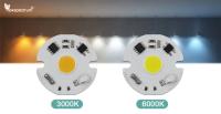 China No Flashing Smart LED Module CCT 6000K Energy Saving COB LED Chip for sale