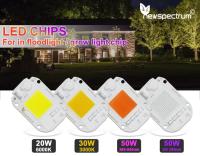 China 20W 30W UV LED Module AC COB Driveless For Outdoor Spotlight for sale