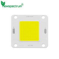 China 6000k DC COB LED Module High Luminance 20W 6000k Full Spectrum for sale