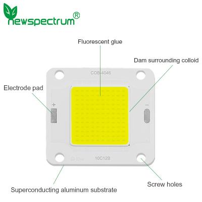 China DC Inverted Integrated COB LED Module 20W 30W High Power LED for sale