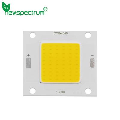 China DC COB Solar Led Module High Luminance Fast Heat Dissipation for sale