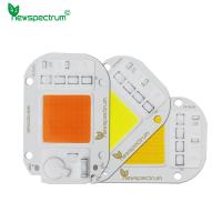 China 220v 50w Led Cob Chip 60 Hz For Hydroponic Flowers Greenhouse for sale