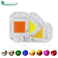 China 220v 50w Led Cob Chip 60 Hz For Hydroponic Flowers Greenhouse for sale