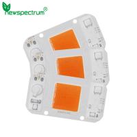 China 30W AC DC COB NO Driver Chip Led For DIY Floodlight Grow Light for sale