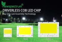 China No Drive High Power Cob Led Chip On Board For Led Flood Light for sale