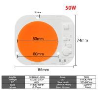 China AC 220V LED COB Module 50W High Power Smart IC Flip LED Chip for sale