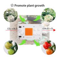 China AC 120V Horticulture COB LED Chip No Need Driver High Brightness for sale