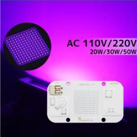 China Aluminum Material UV LED Module 395nm Color Temperature In Medical Industry for sale