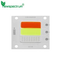 China Aluminum Material Driverless LED Chip Cob High Luminance For Growing Light for sale