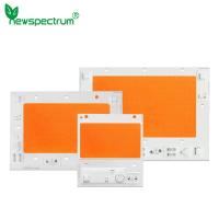 China 150W High Power Cob AC High Conductivity Aluminum LED Lamp Beads for sale