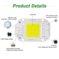 China 6000K Full Spectrum Cob Led Chip 50W 30W For DIY Flood Light for sale