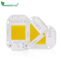 China AC220V 240V LED COB Lamp Chip Driverless For Flood Light Led Bulb Spotlight for sale