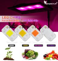 China Aluminum Material UV LED Module 395nm Color Temperature In Medical Industry for sale