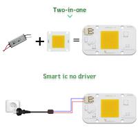 China Solderless Cob Driver Led Chip Cold White 30w Led Module For DIY Floodlights for sale