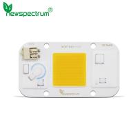 China Solderless Cob Driver Led Chip Cold White 30w Led Module For DIY Floodlights for sale