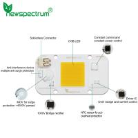China Solderless Cob Driver Led Chip Cold White 30w Led Module For DIY Floodlights for sale