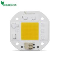 China 50W Dimming Cob LED 220V Solderless Wire Dob Led Driver Size 25mm for sale