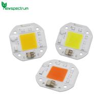 China AC220V Horticulture COB Led Chip 50W 20W 30W 1400K For Floodlight for sale
