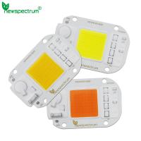 China 20W 30W UV LED Module AC COB Driveless For Outdoor Spotlight for sale